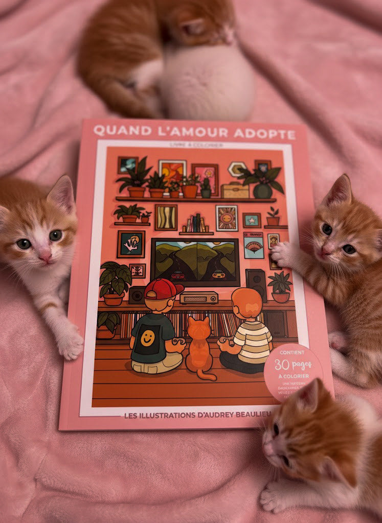 Les illustrations d’Audrey Beaulieu